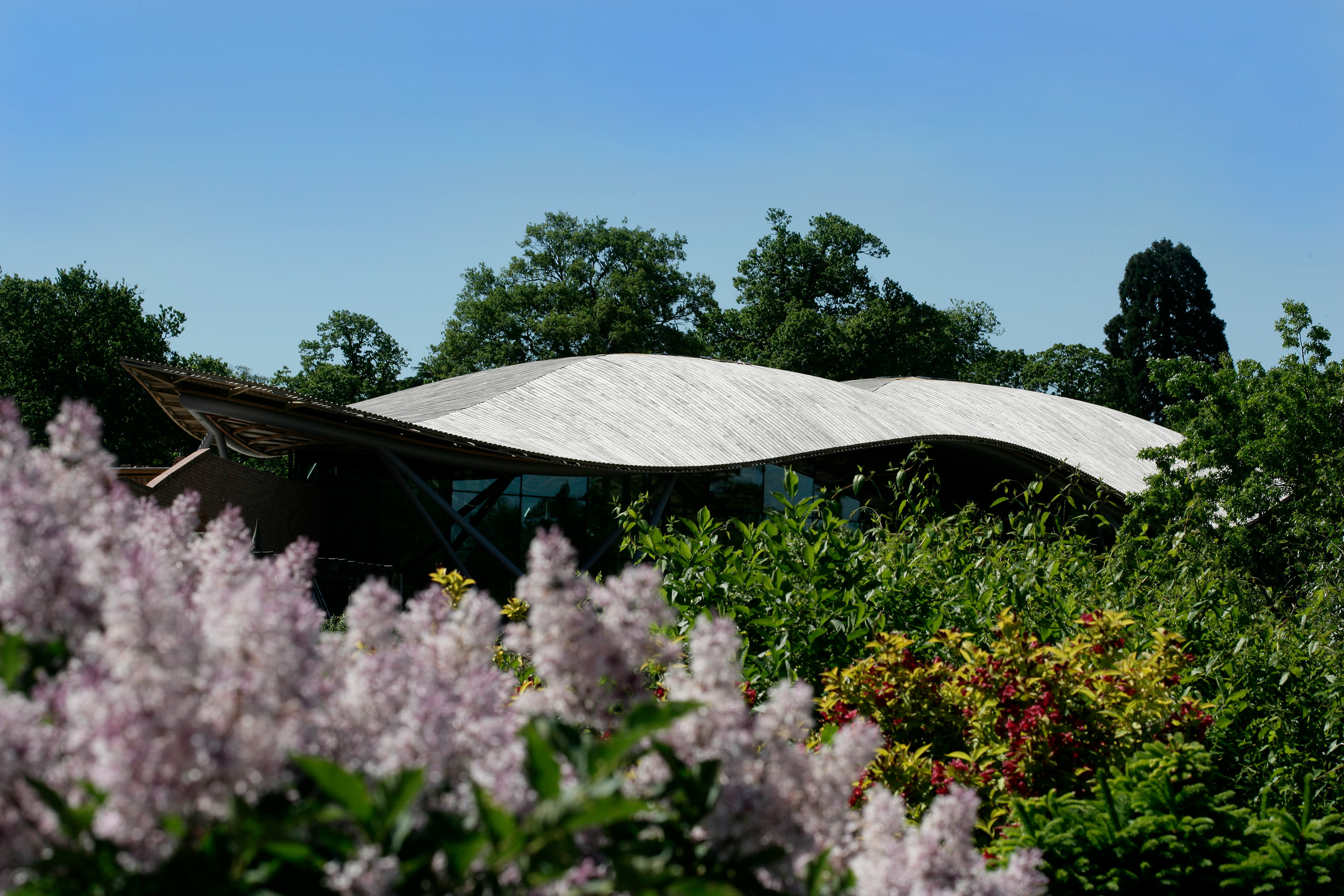 Savill Building, Windsor Great Park | Howells