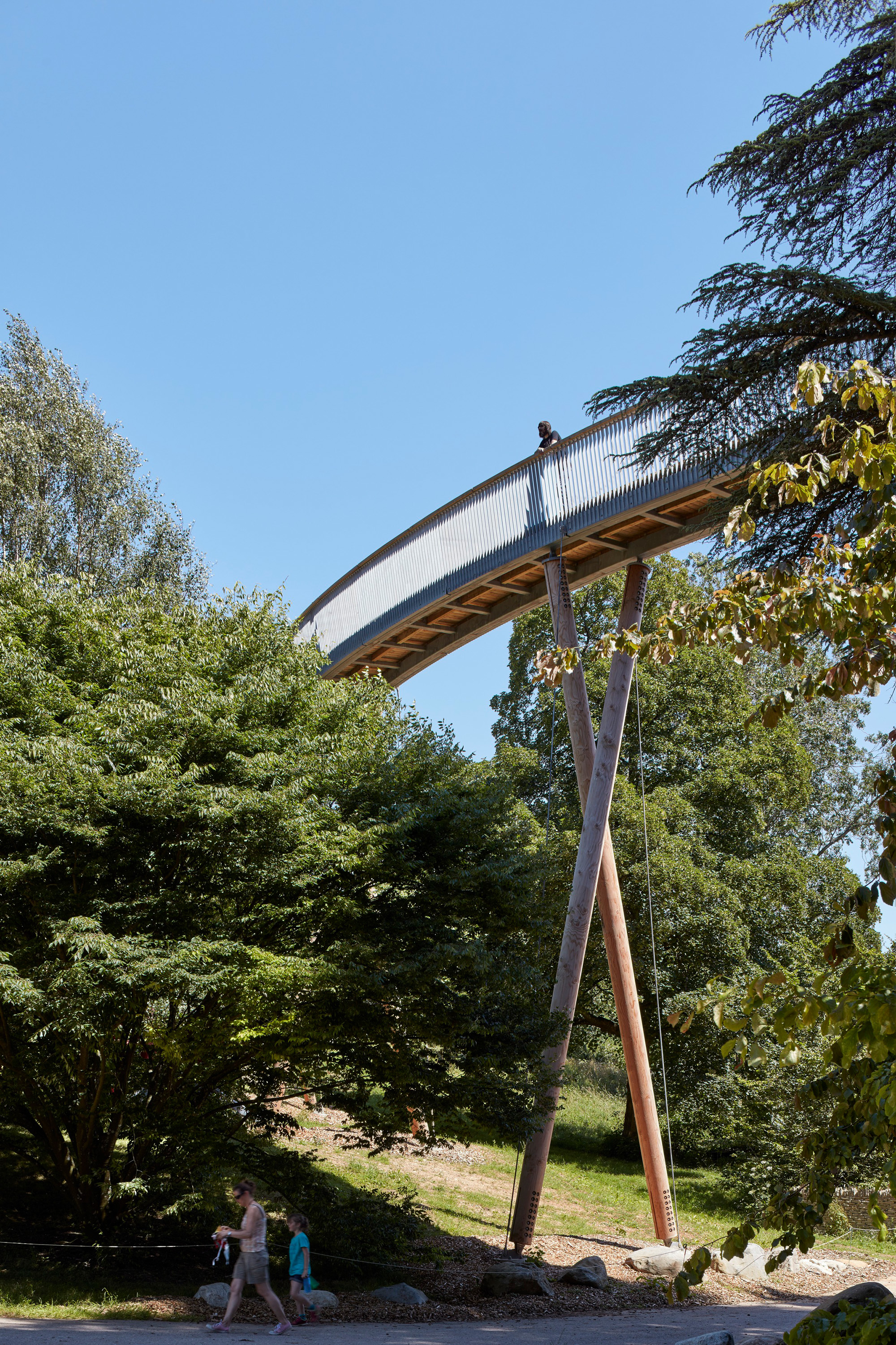 Stihl Treetop Walkway, Westonbirt, The National Arboretum | Howells