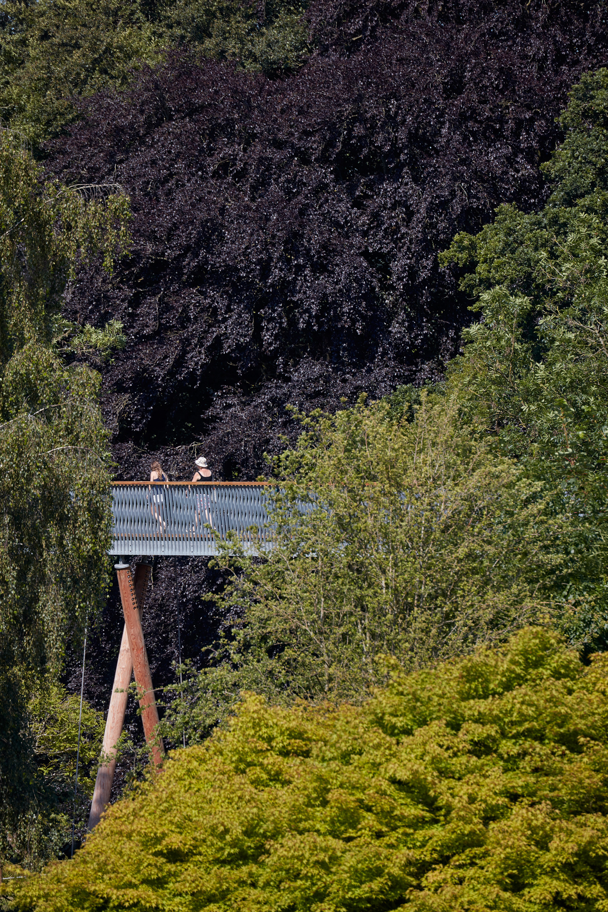 Stihl Treetop Walkway, Westonbirt, The National Arboretum | Howells