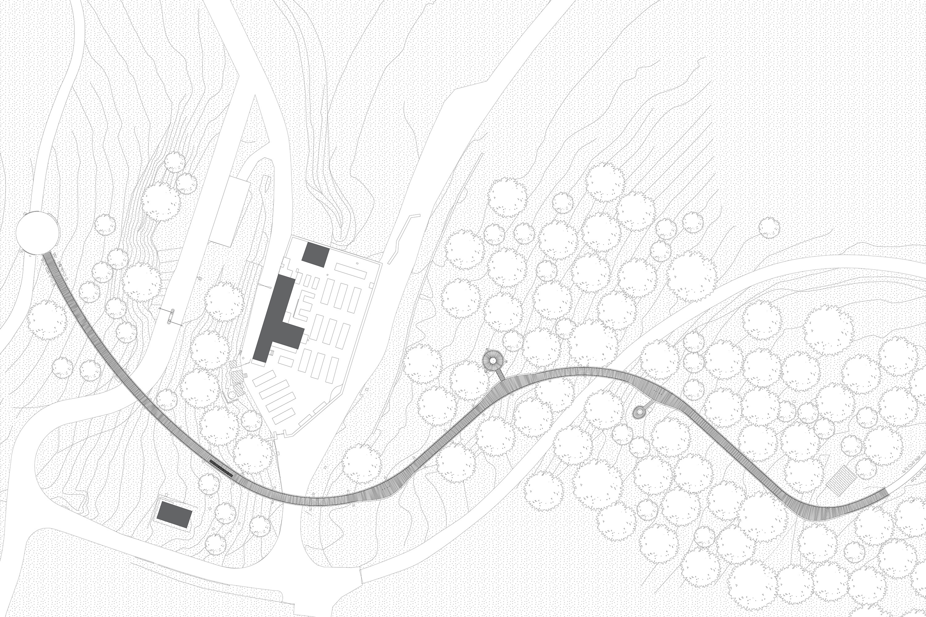 Stihl Treetop Walkway, Westonbirt, The National Arboretum | Howells