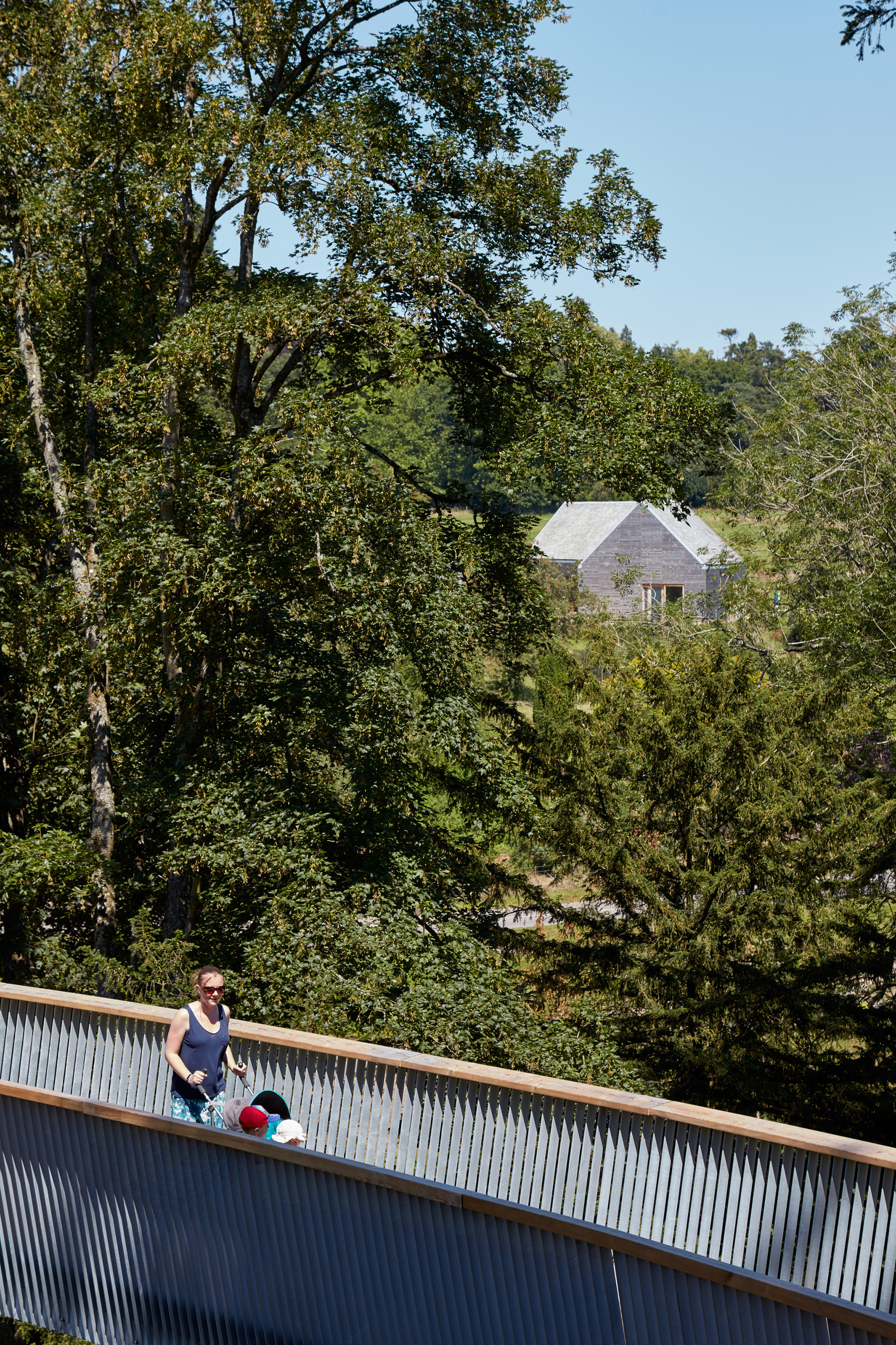 Stihl Treetop Walkway, Westonbirt, The National Arboretum | Howells